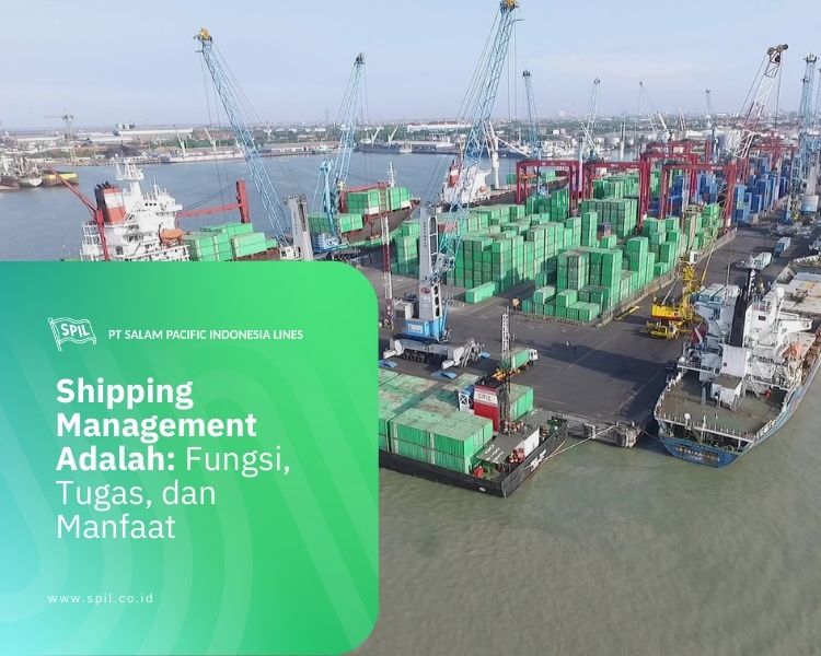 Shipping Management Adalah: Fungsi, Tugas, dan Manfaat - Info Shipping & Logistic