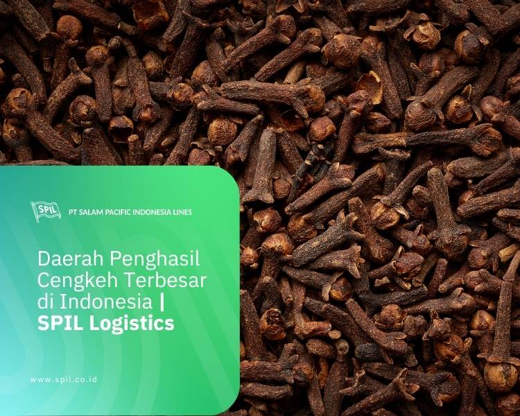 Daerah Penghasil Cengkeh Terbesar di Indonesia | SPIL Logistics - Info ...