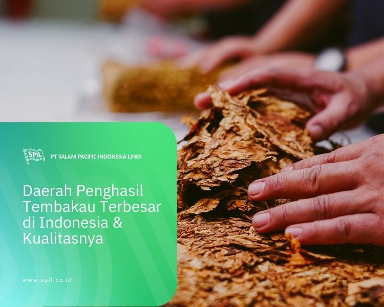 Daerah Penghasil Tembakau Terbesar di Indonesia & Kualitasnya - Info ...