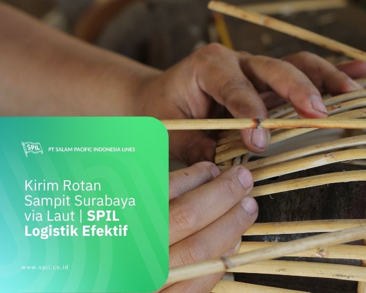 Kirim Rotan Sampit Surabaya via Laut | SPIL Logistik Efektif - Info ...