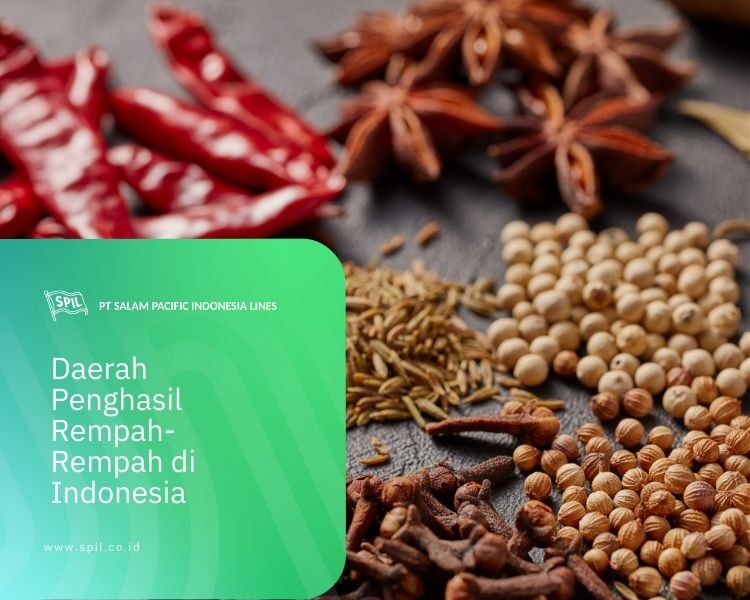 Daerah Penghasil Rempah-Rempah di Indonesia - Info Shipping & Logistic