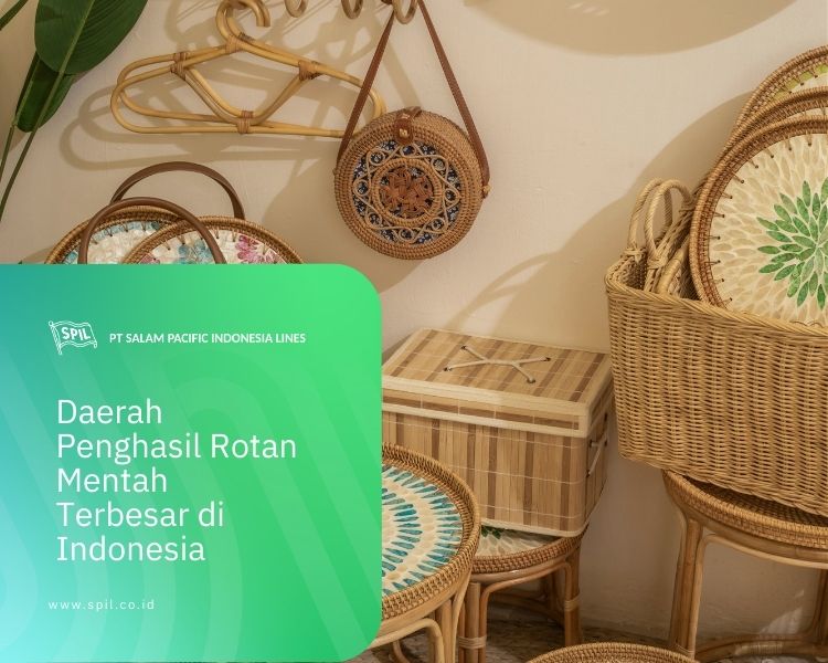 Daerah Penghasil Rotan Mentah Terbesar di Indonesia - Info Shipping ...