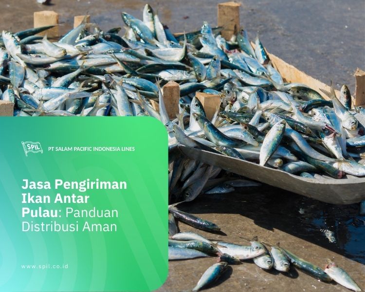 Jasa Pengiriman Ikan Antar Pulau: Panduan Distribusi Aman - Info ...