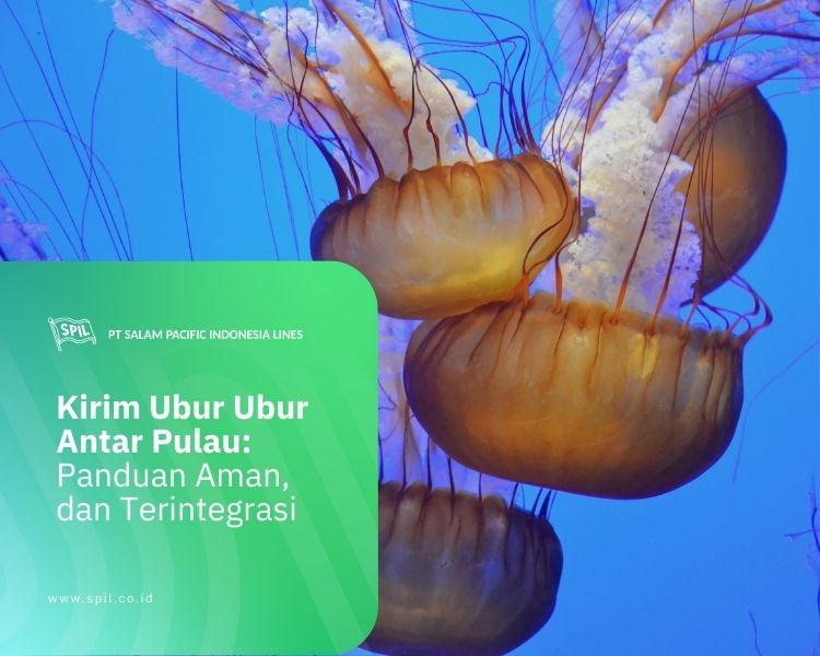 Kirim Ubur Ubur Antar Pulau: Panduan Aman, dan Terintegrasi - Info ...