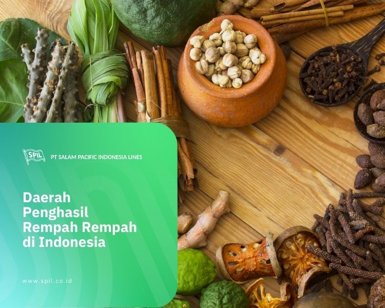 Daerah Penghasil Rempah Rempah di Indonesia - Info Shipping & Logistic