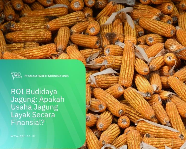 ROI Budidaya Jagung: Apakah Usaha Jagung Layak Secara Finansial? - Info ...